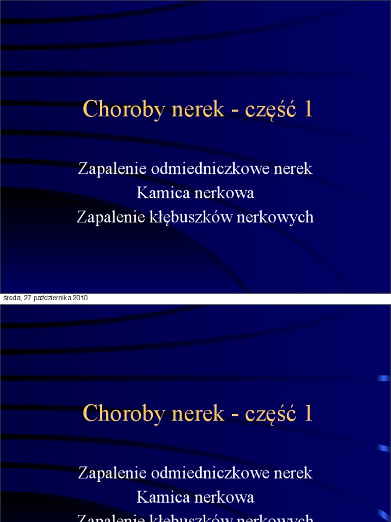 Choroby Nerek | PDF