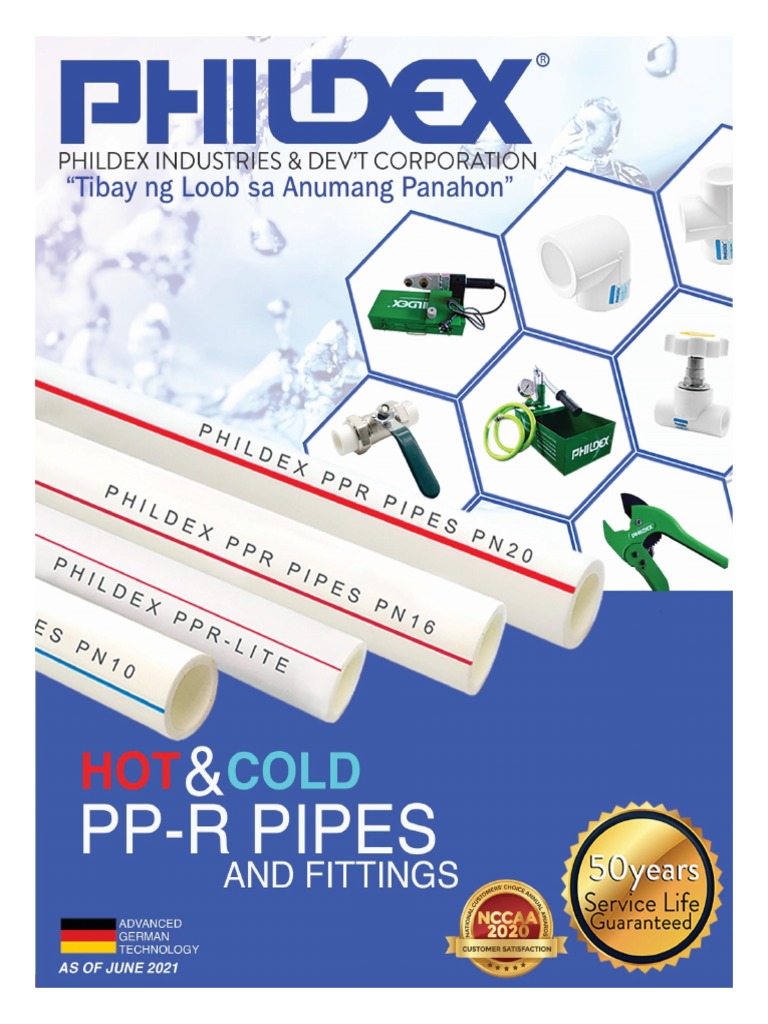 Phildex Pricelist June2021 | PDF