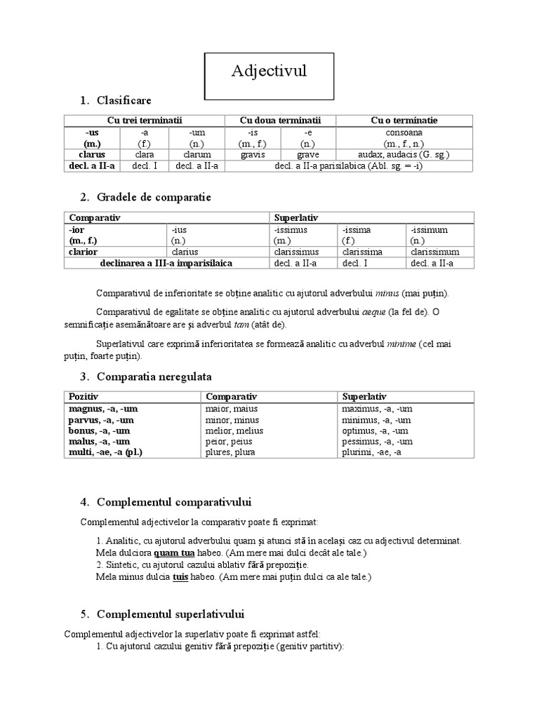 Declinarea Adjectivelor | PDF