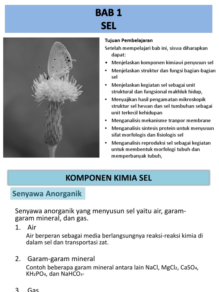 Komponen Kimia Penyusun Sel | PDF