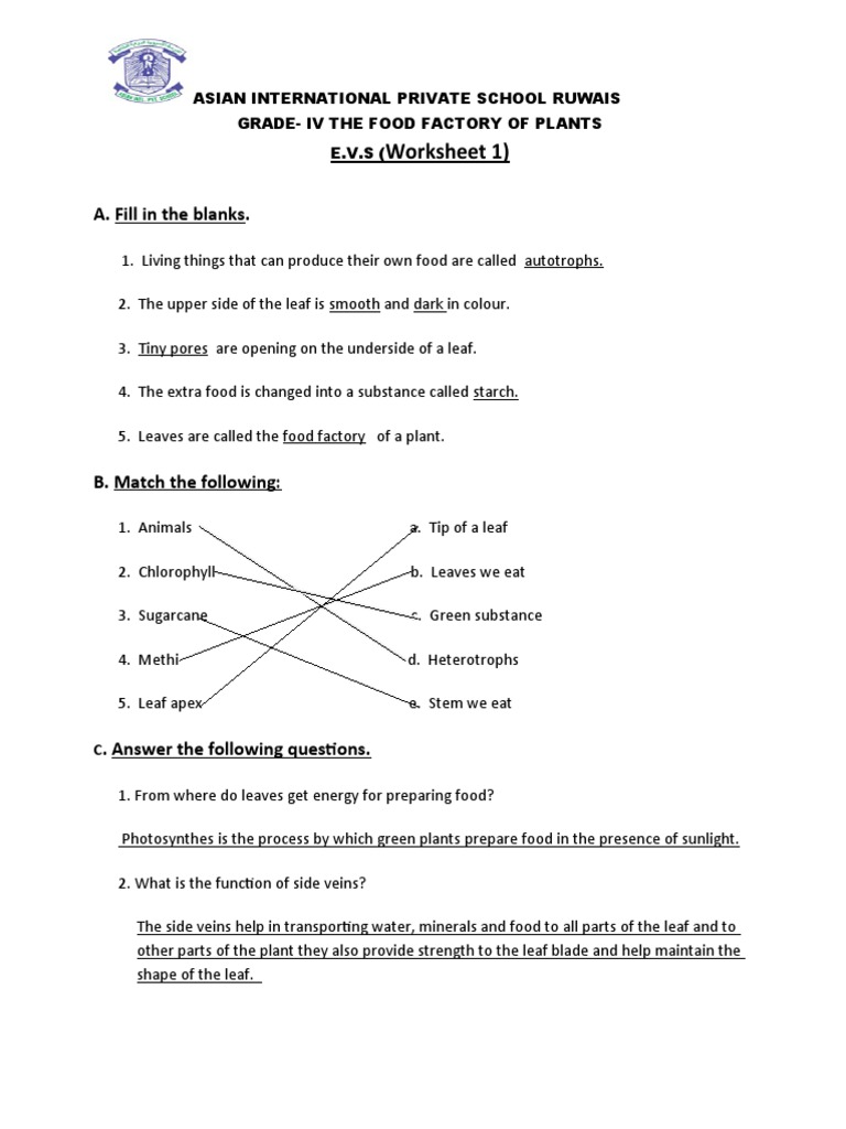 Food Factory of Plants Worksheet Class 4 | PDF | Science & Mathematics