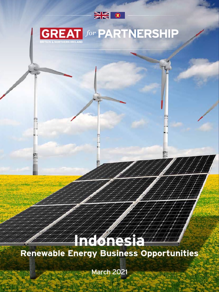 Indonesia - ASEAN Renewable Energy Report 2021 | PDF | Renewable Energy ...