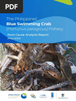 Central Luzon Link Expressway CLLEX Phase 1 | PDF | Public–Private ...