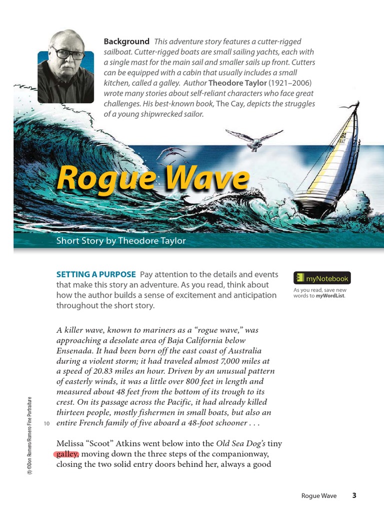 Rogue Wave | PDF