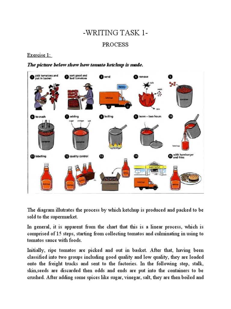 Tomato Ketchup Production Process | PDF | Cooking, Food & Wine