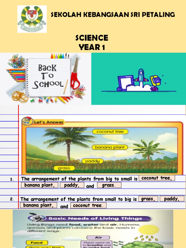 Sekolah Kebangsaan Sri Petaling: Science Year 1 | PDF
