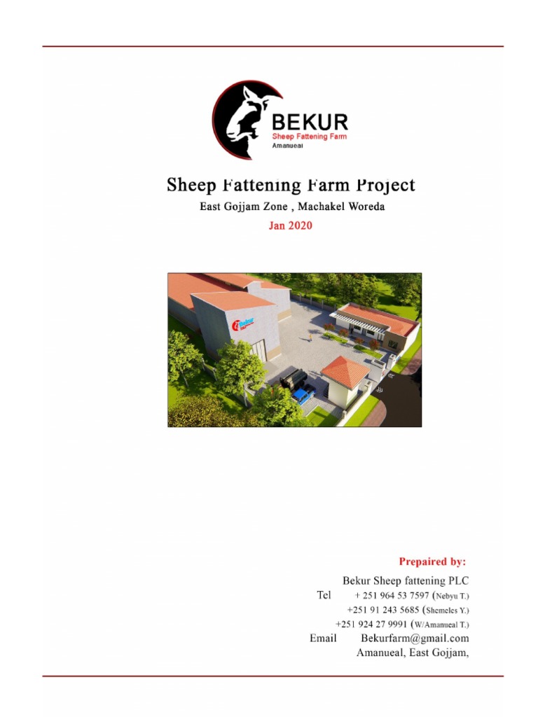 Sheep Fatening Proposal | PDF | Internal Rate Of Return | Cost Of Goods ...