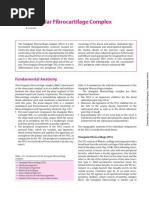 TFCC Injury Classification Overview | PDF | Joints | Human Anatomy