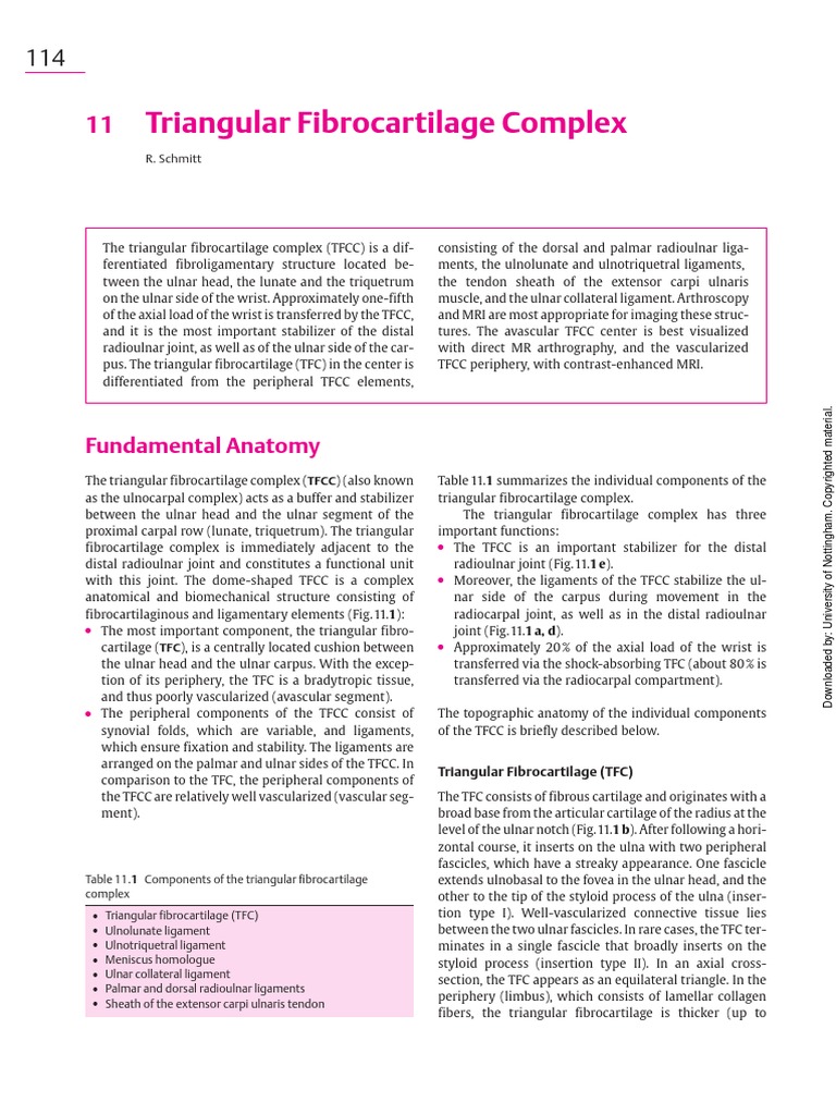 Triangular Fibrocartilage Complex: Fundamental Anatomy | PDF ...