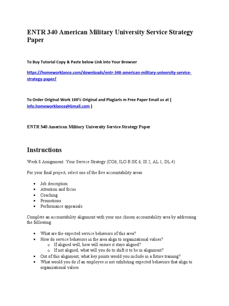 ENTR 340 American Military University Service Strategy Paper | PDF