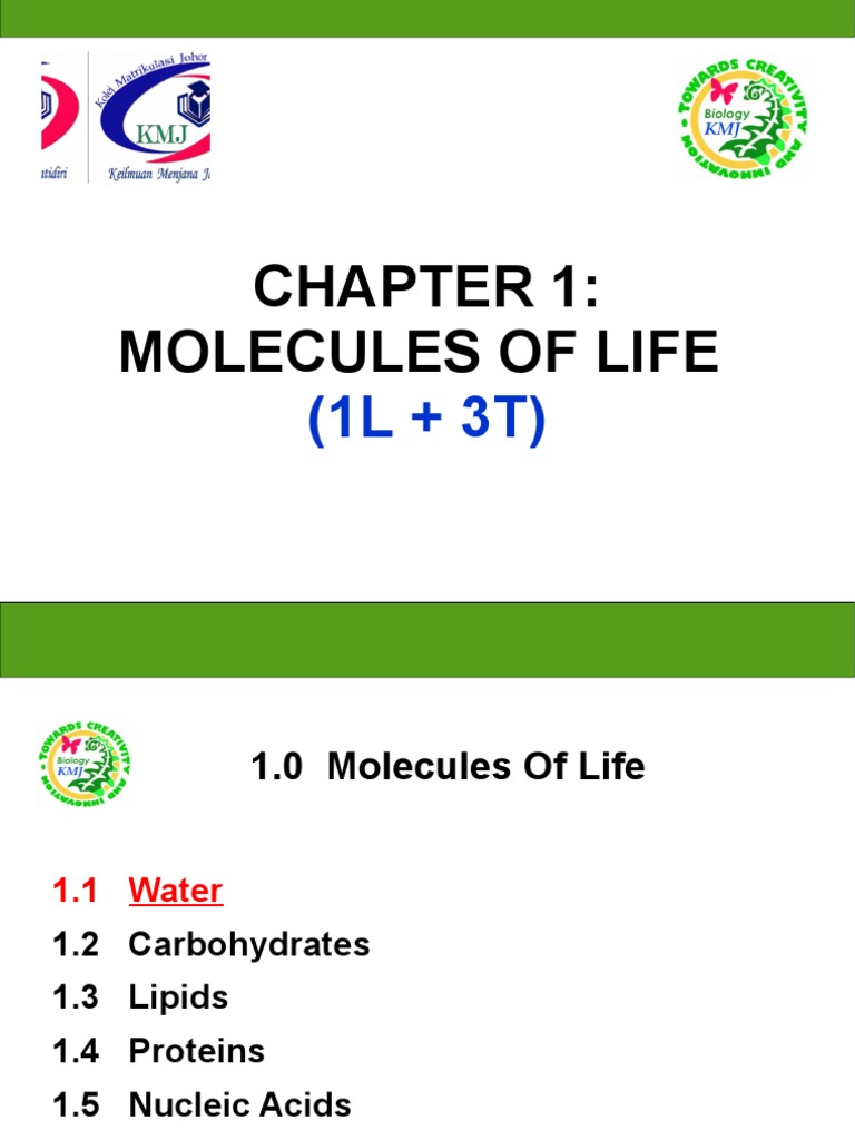 Biology Basics: Molecules of Life | PDF | Carbohydrates | Lipid