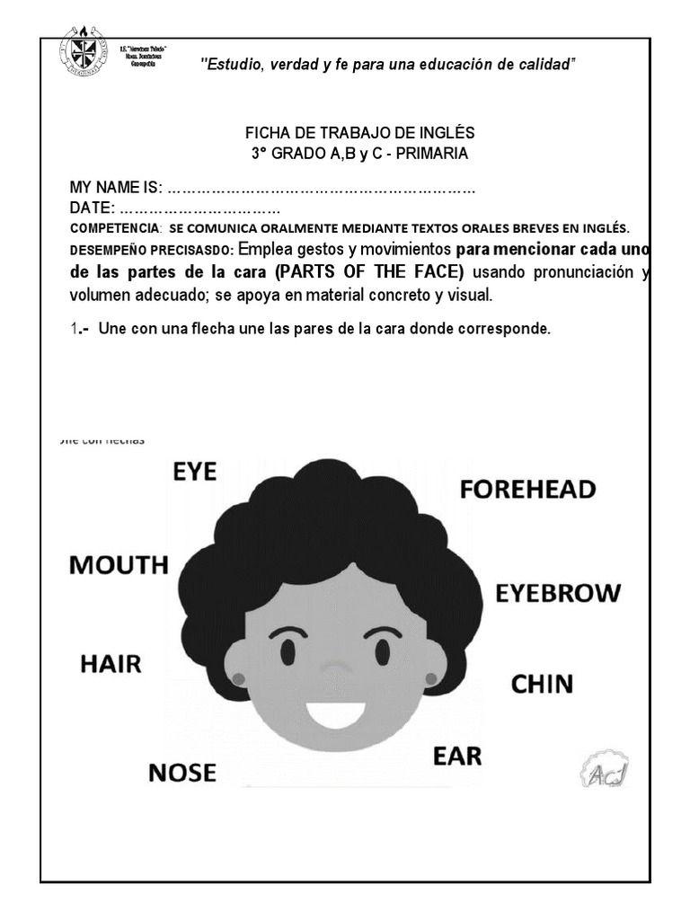 15° Semana Parts of The Face Iii Bi | PDF | Artes del Lenguaje y ...
