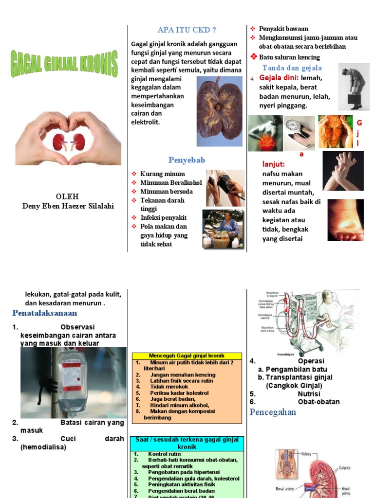 Leaflet CKD | PDF