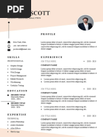 Glints CV Template | PDF