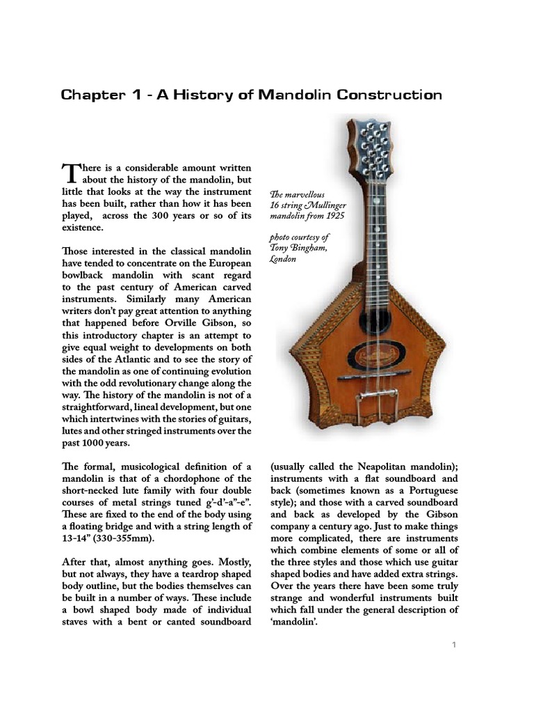 A History of Mandolin Construction | PDF | Gaiaphones | Necked Lutes