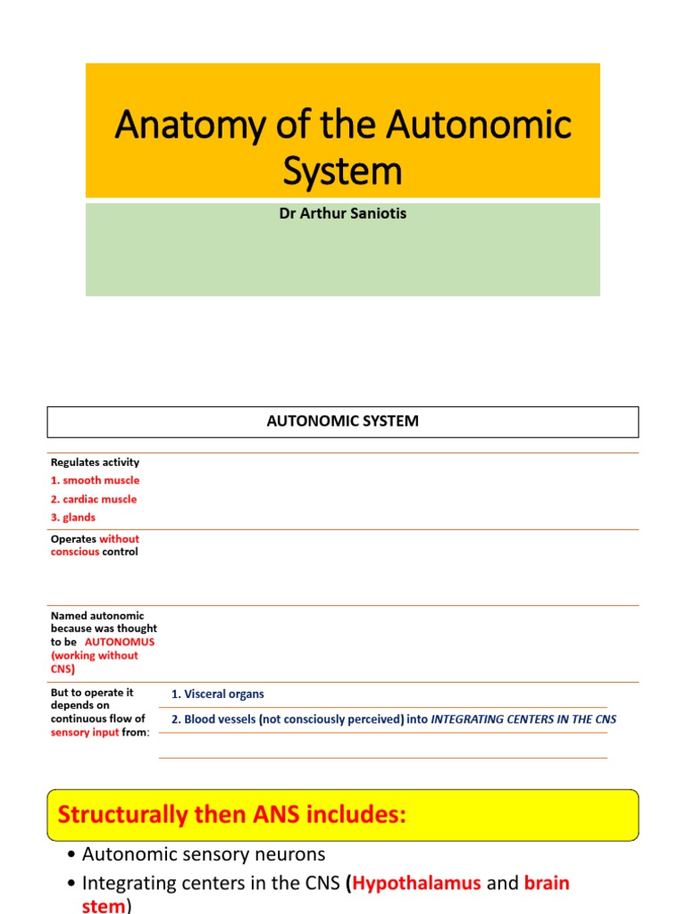 Anatomy of The Autonomic System: DR Arthur Saniotis | PDF | Autonomic ...