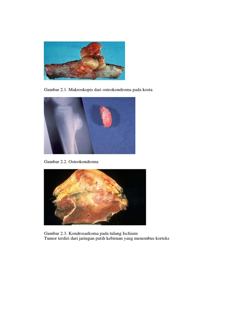 Appendices Pdf