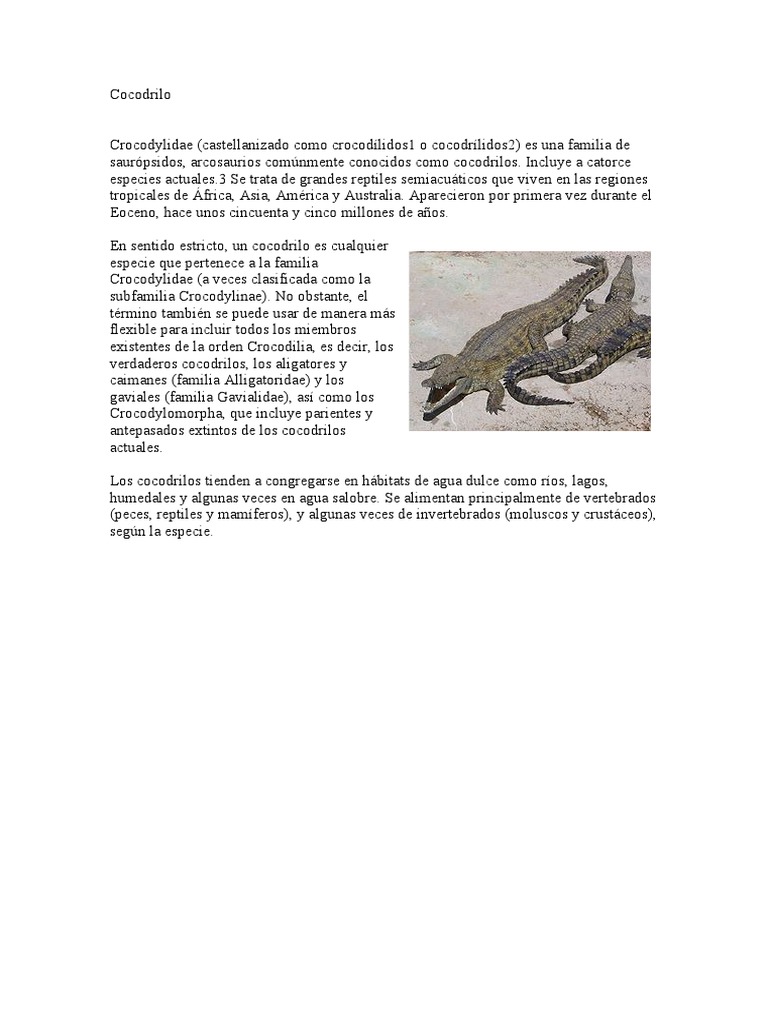 Cocodrilo | PDF