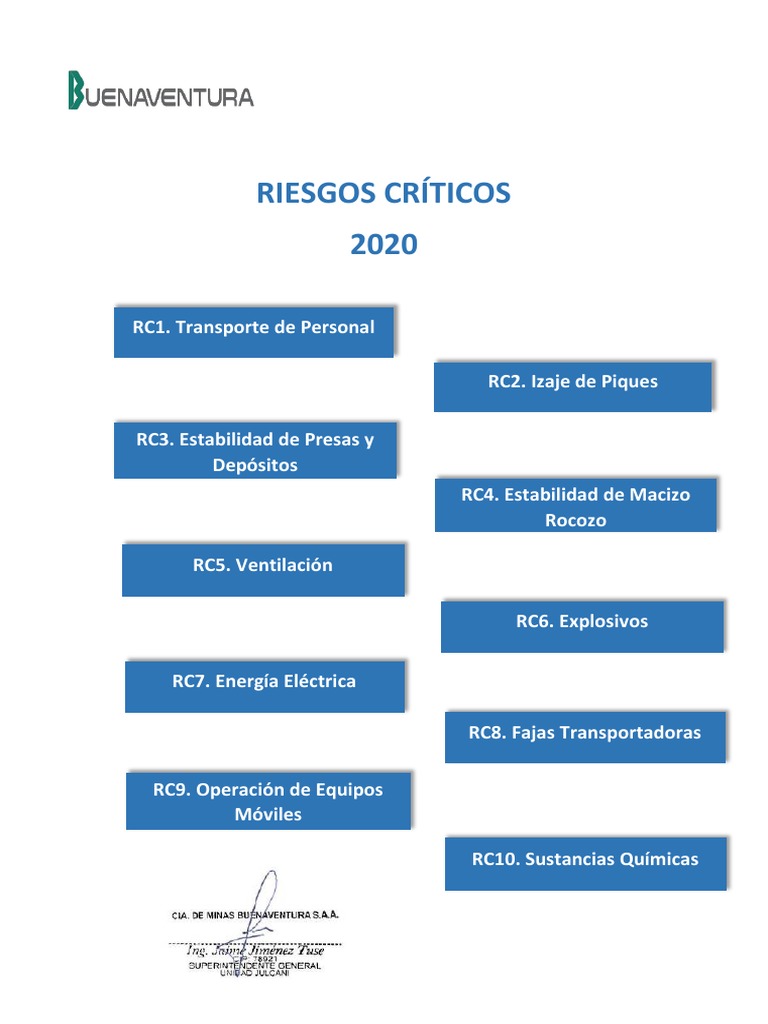 Riesgos Críticos 2020 | PDF