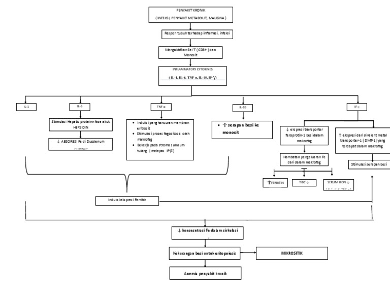 Patofisiologi Anemia Penyakit Kronik | PDF