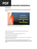 Region Geniana | PDF | Cabeza y cuello humanos | Anatomía humana