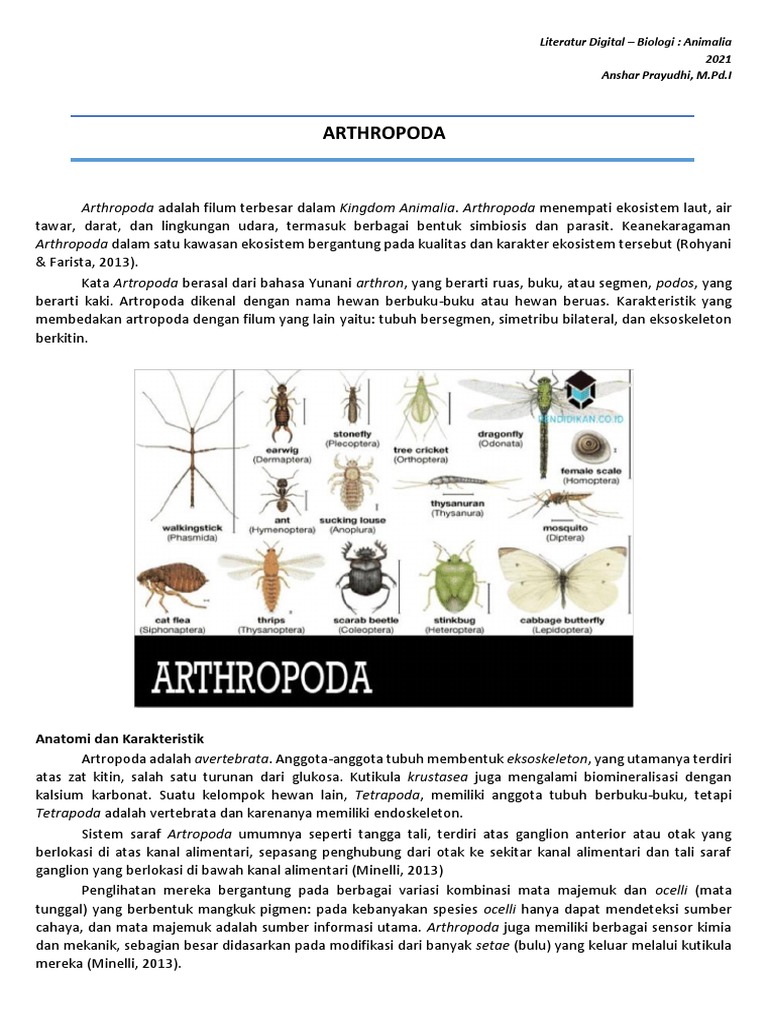 Karakteristik dan Klasifikasi Arthropoda | PDF