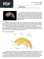 Klasifikasi dan Ciri Crustacea | PDF