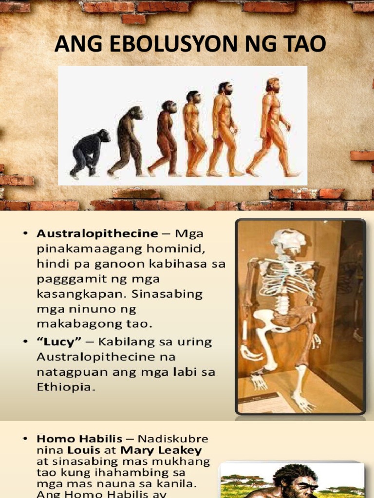 Aralin 1. Ang Ebolusyon NG Tao | PDF