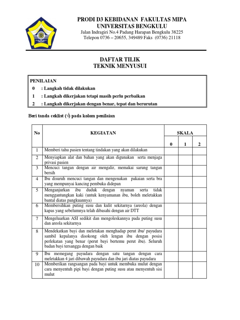 Datik Teknik Menyusui | PDF