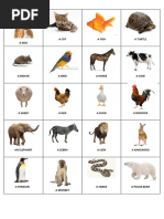 1000 Animals List | PDF | Zoology