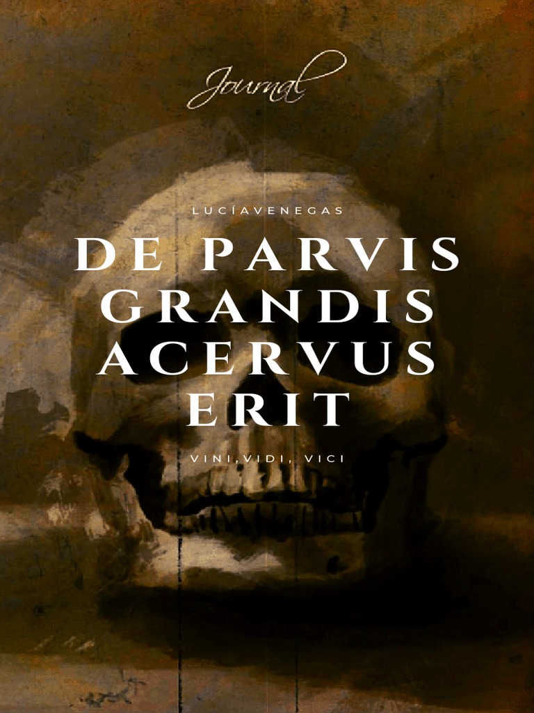 De Parvis Grandis Acervus Erit | PDF | Residuos | Agua