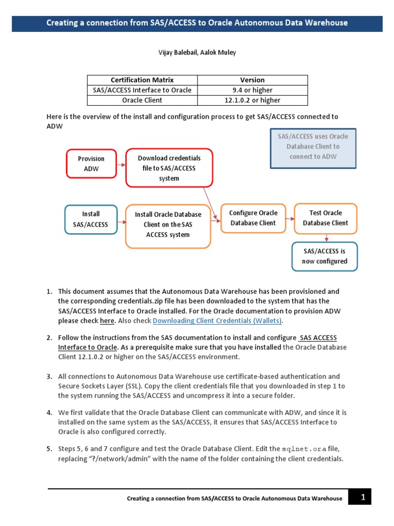 SAS/ACCESS to Oracle ADW Connection Guide | PDF | Software Engineering ...