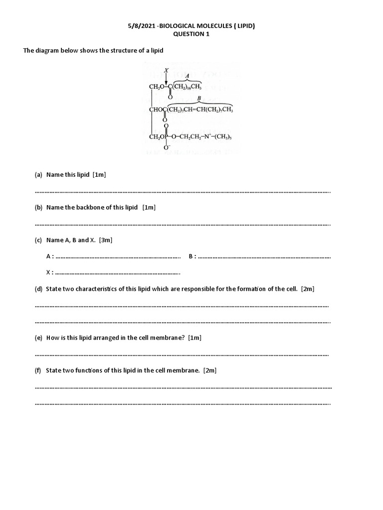 .Structure (Lipids) | PDF | Cell Membrane | Cell (Biology)
