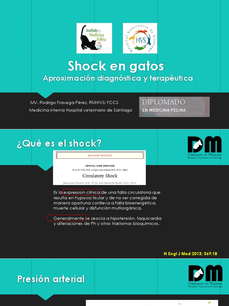 Shock en Gatos | PDF | Presión sanguínea | Corazón