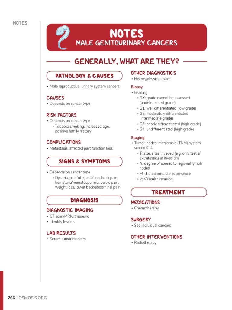 Overview of Male Genitourinary Cancers: Etiology, Diagnosis, Staging ...