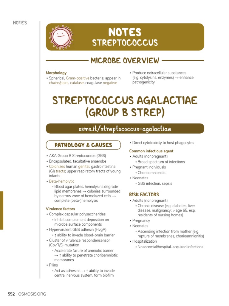 Streptococcus Agalactiae Group B Strep Notes Pdf Streptococcus