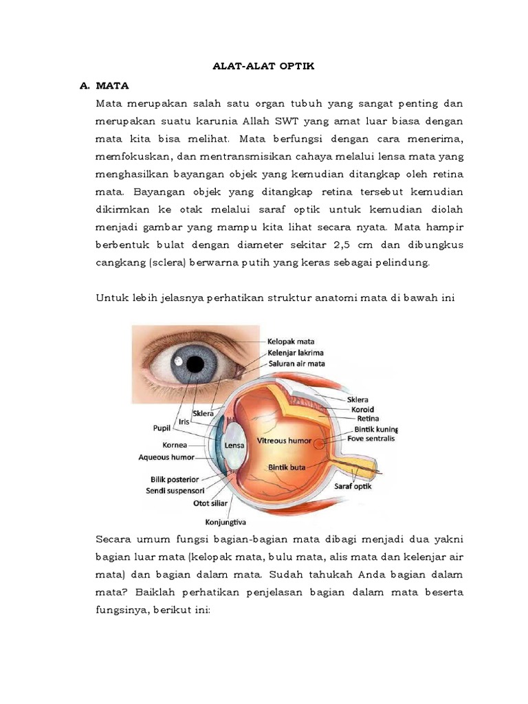 Fungsi dan Struktur Alat Optik Mata | PDF