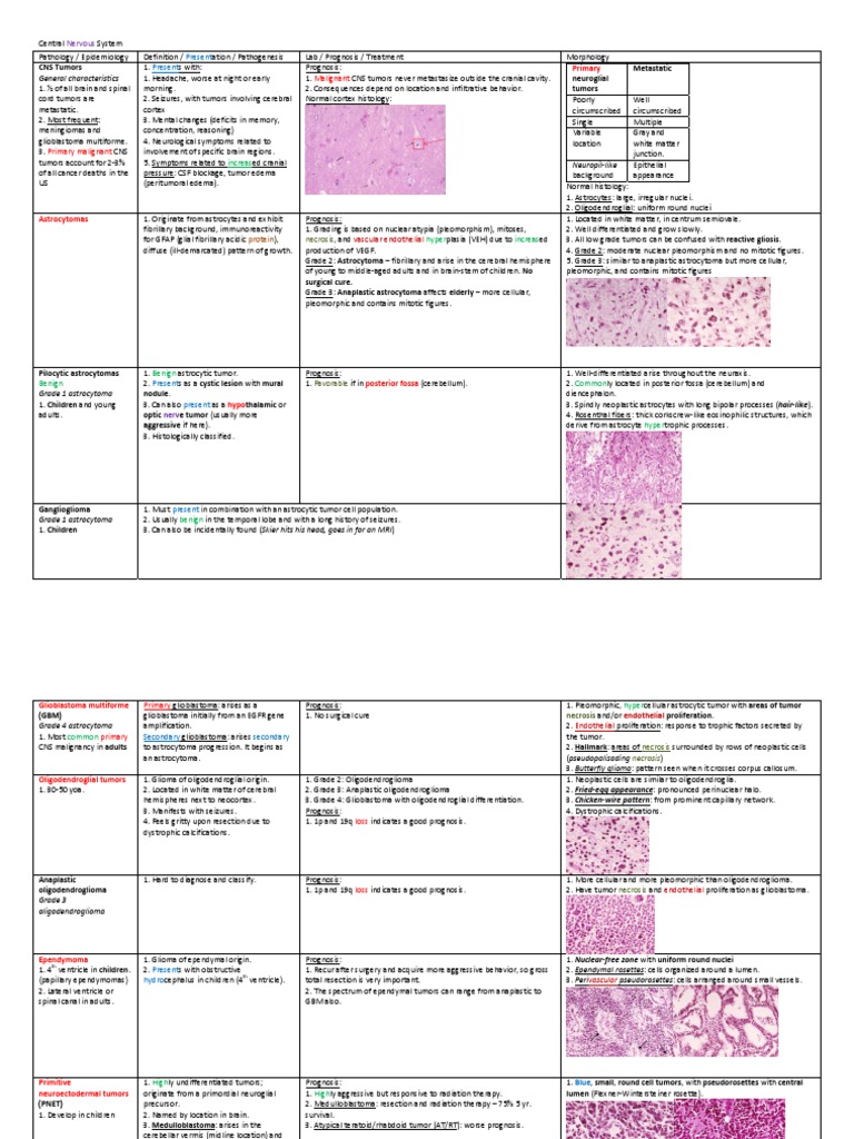 CNS Path Chart | PDF | Brain Tumor | Human Anatomy