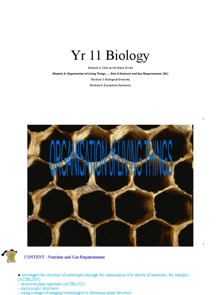 MODULE 2 Part 2A Organisation of Living Things - Nutrient and Gas ...