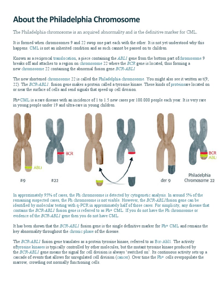 CML Philadelphia Chromosome | PDF | Histology | Anatomy