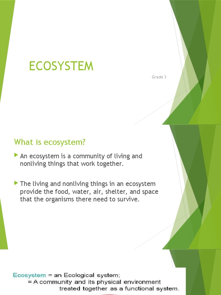 Ecosystem: Grade 3 | PDF