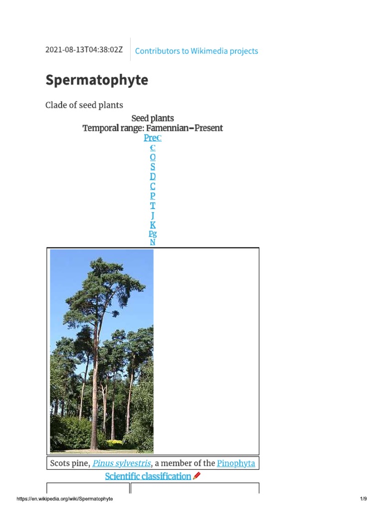Spermatophyte | PDF
