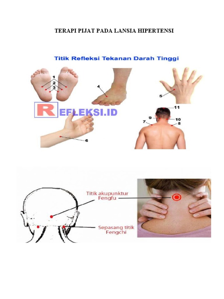 Gerontik (Terapi Pijat Hipertensi & Proses Menua) | PDF