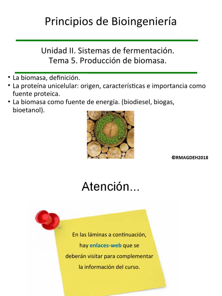 Laminas Resumen Unidad II Tema 5 Producción de Biomasa | PDF | Biomasa | Levadura