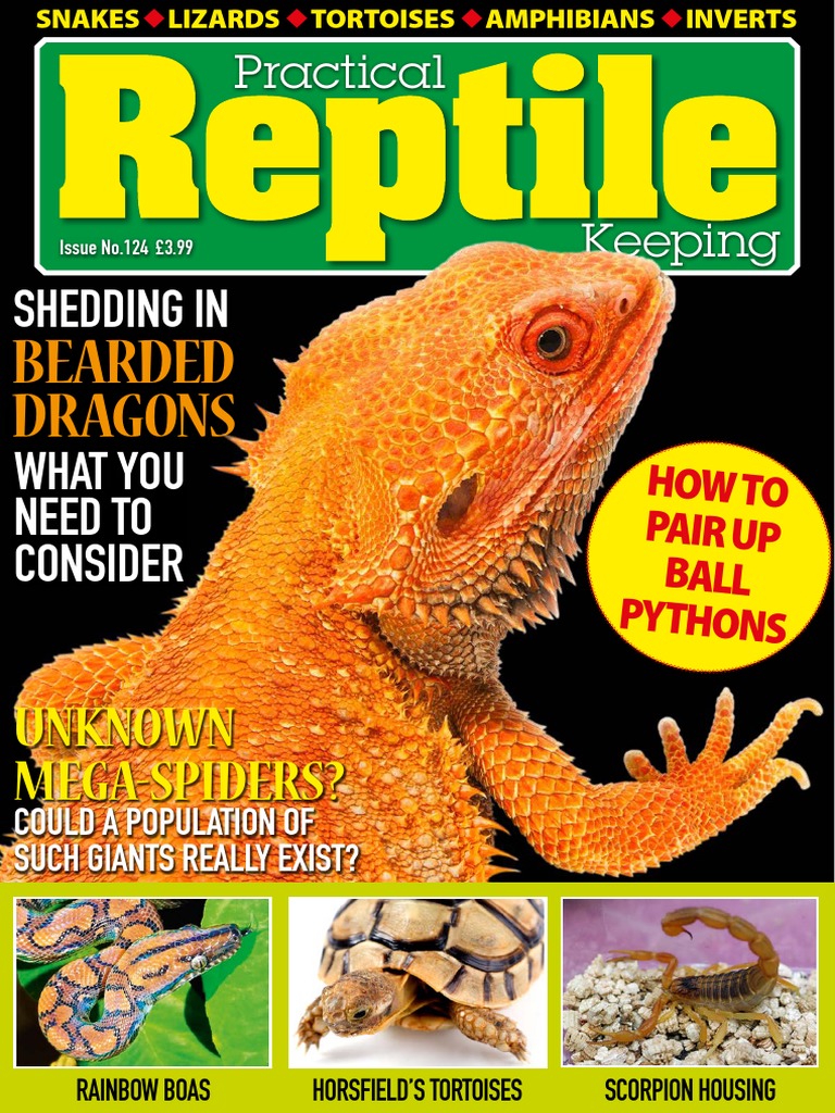 Practical Reptile Keeping - Issue 124 - April 2020 | PDF | Mimicry ...