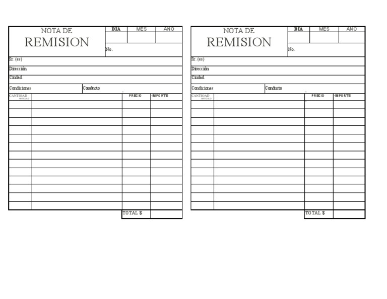 Ejemplos de Formato de Nota Remisión | PDF