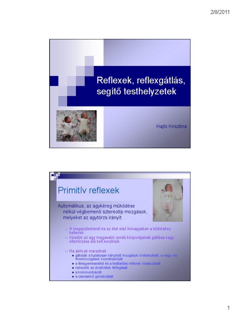 Reflexek Abrakkal Es Kepekkel Compatibil | PDF