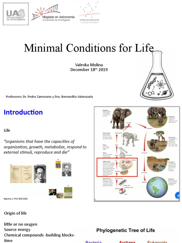 Minimal Conditions For Life: Valeska Molina December 18 2019 | PDF ...