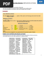Reflexive Verbs Project Guidelines | PDF
