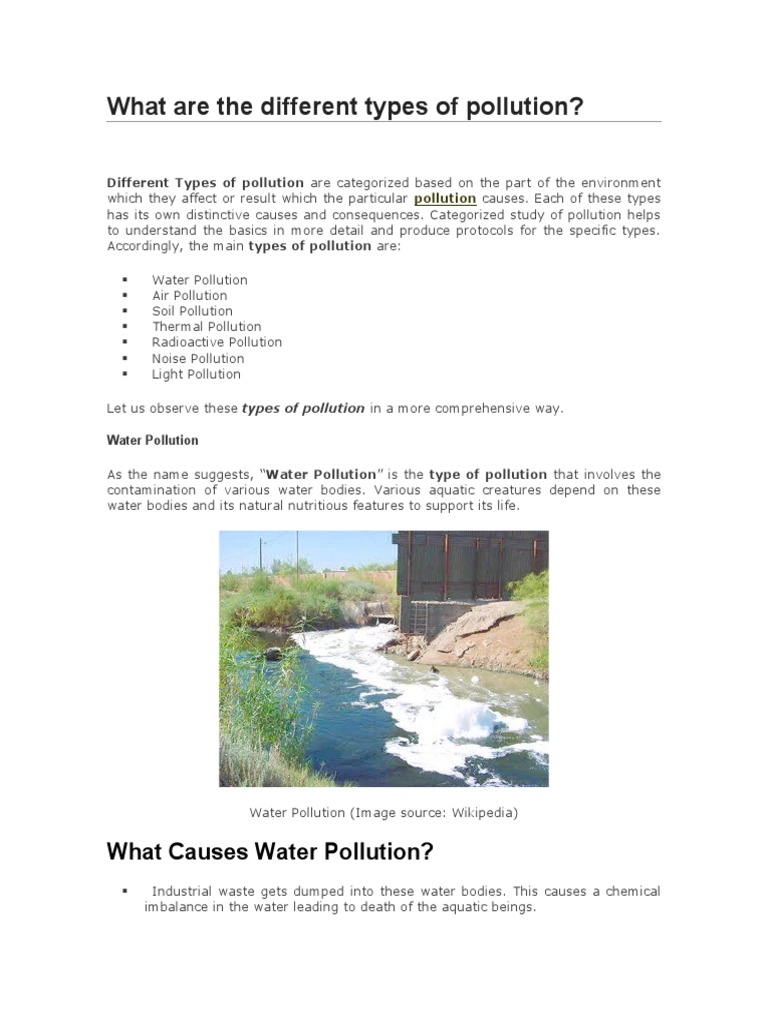What Are The Different Types of Pollution | PDF | Combustion | Water ...